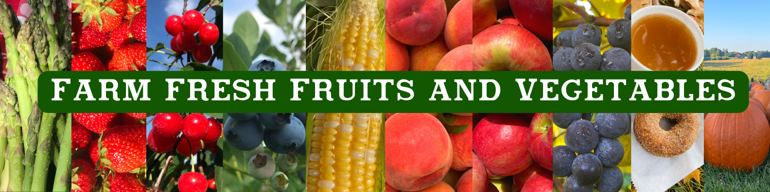 Farm Fresh Fruits and Vegetables